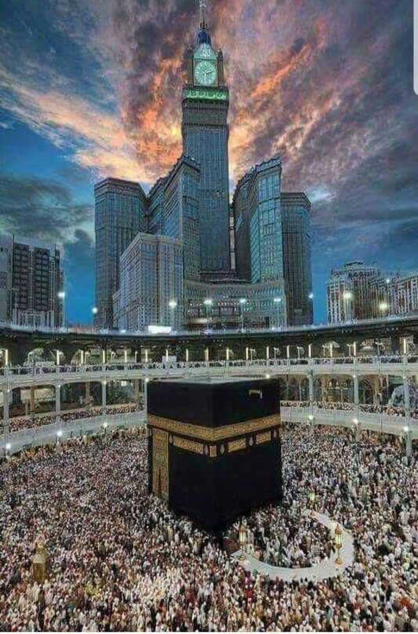 Macca Wallpaper HD - Wallpaper Box