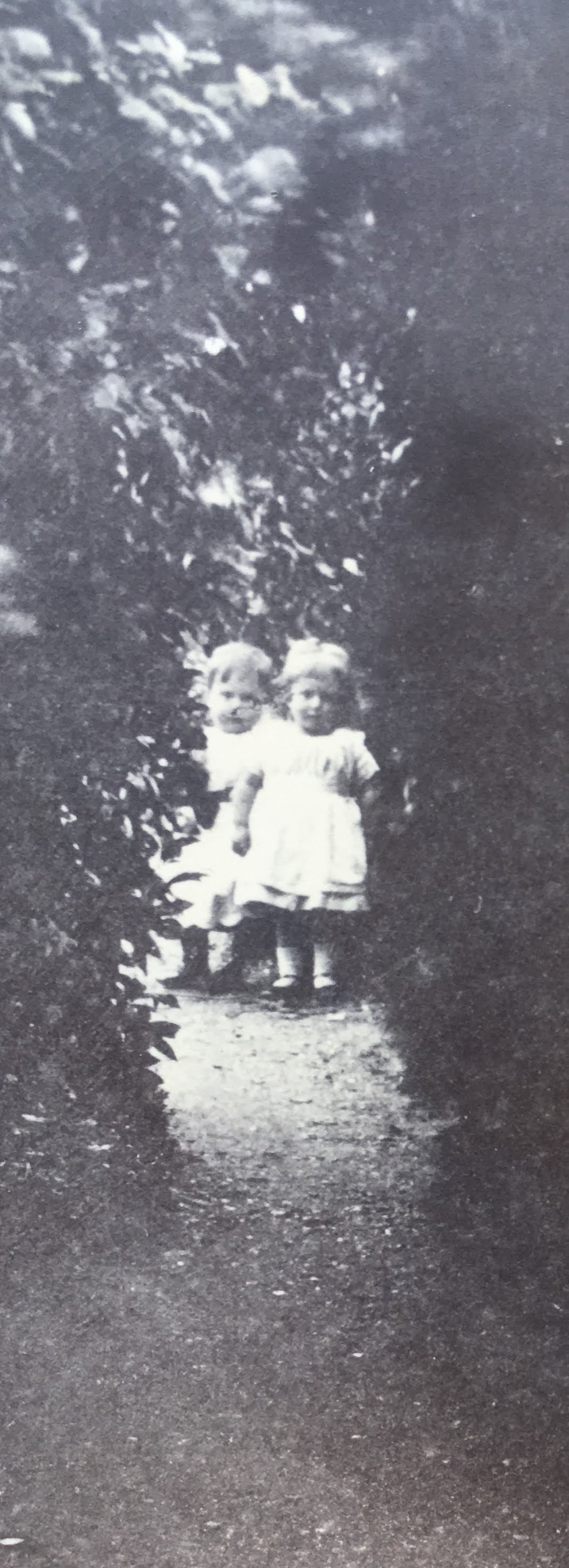 The Cobb Family of Napier: Elsie