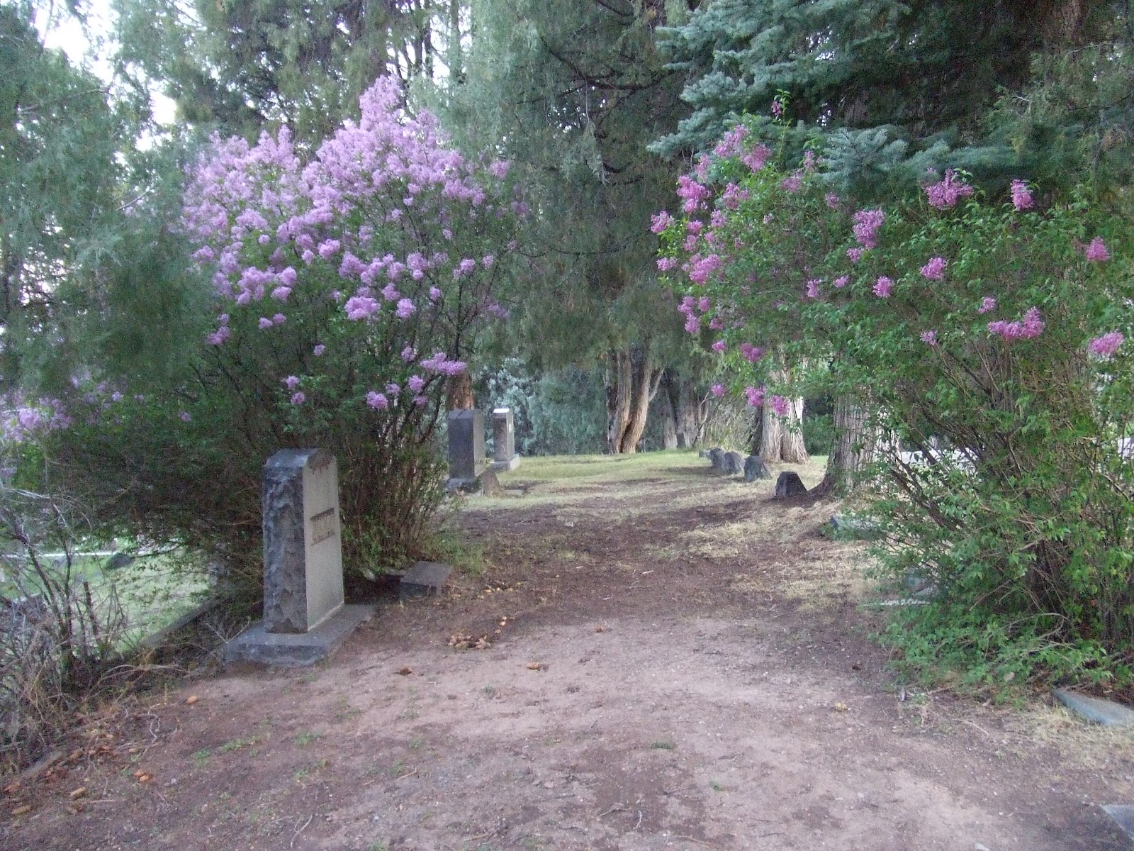 Durango Daily Photo: Greenmount Cemetery