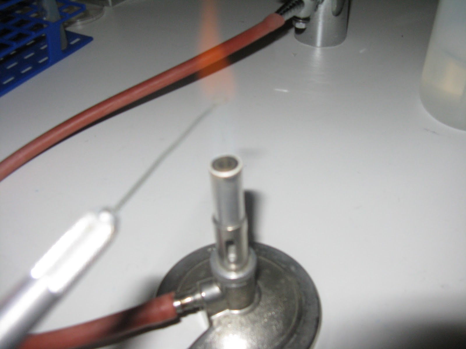 Samantha and Sarah's Microbiology Lab Journal: Broth Tubes, Streak ...