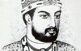 Ziauddin Barani | জিয়াউদ্দিন বারানী