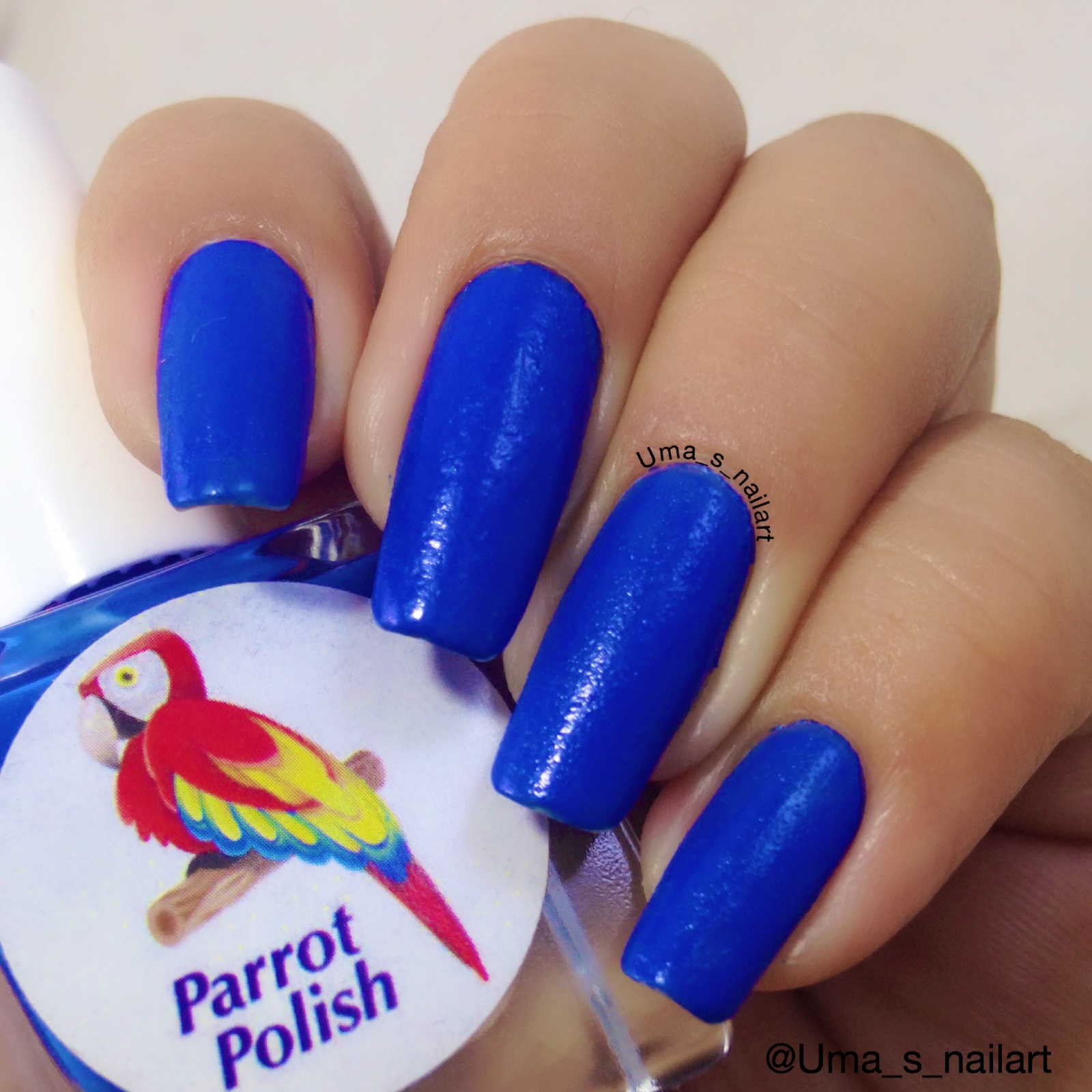 Beluga Blue and more Parrot Polishes Swatches and Review..