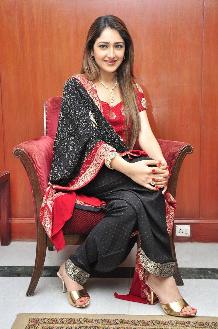 Sayesha Saigal Actress stills gallery | Actress, Actors and Movie Gallery