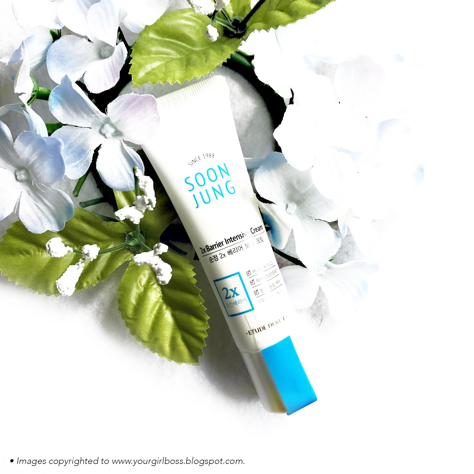 Etude House Soon Jung 2X Barrier Intensive Cream Review - Jean Kuah's ...