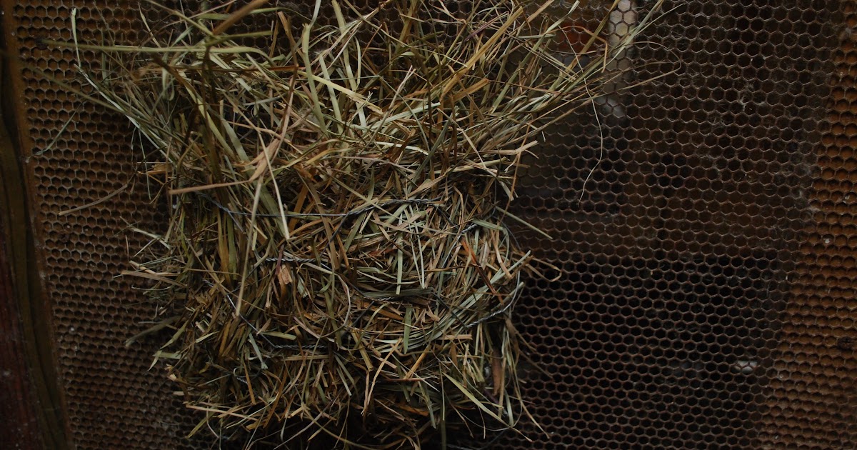 HighTail Farms: Quick and easy rabbit hay nets