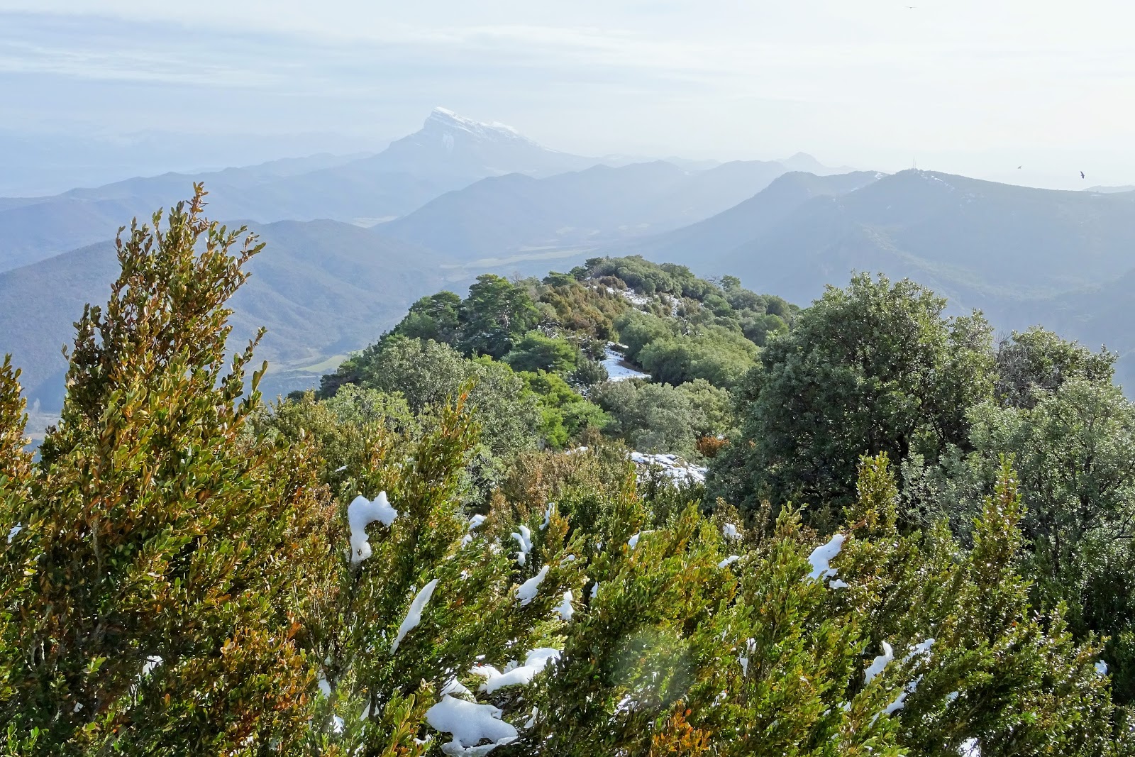 elpirineodejose: Pico Cuculo (1.549 m.) desde Sta. Cruz de la Serós y ...
