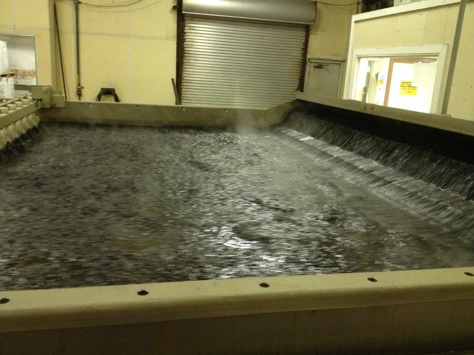 Reticulated Writer: November 16: I've had enough of this shit