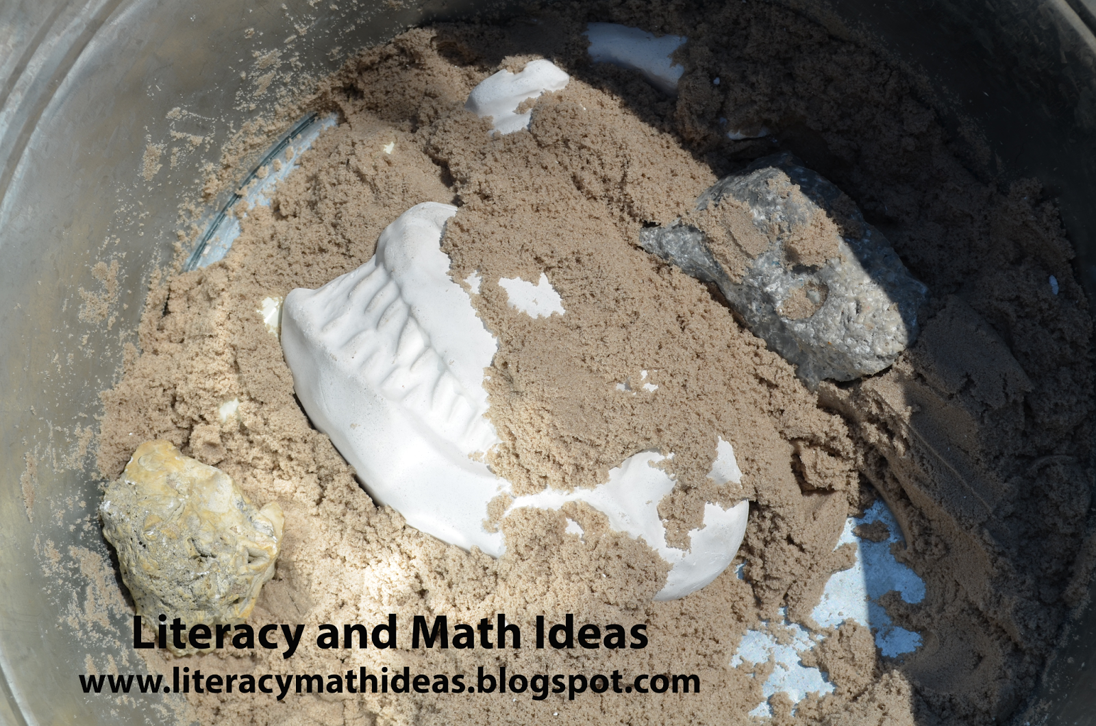 Literacy & Math Ideas: Integrate Reading, Social Studies, Science, and ...