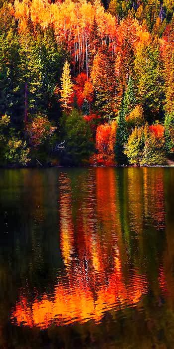 10 amazing autumn photographs - beautiful time of the year