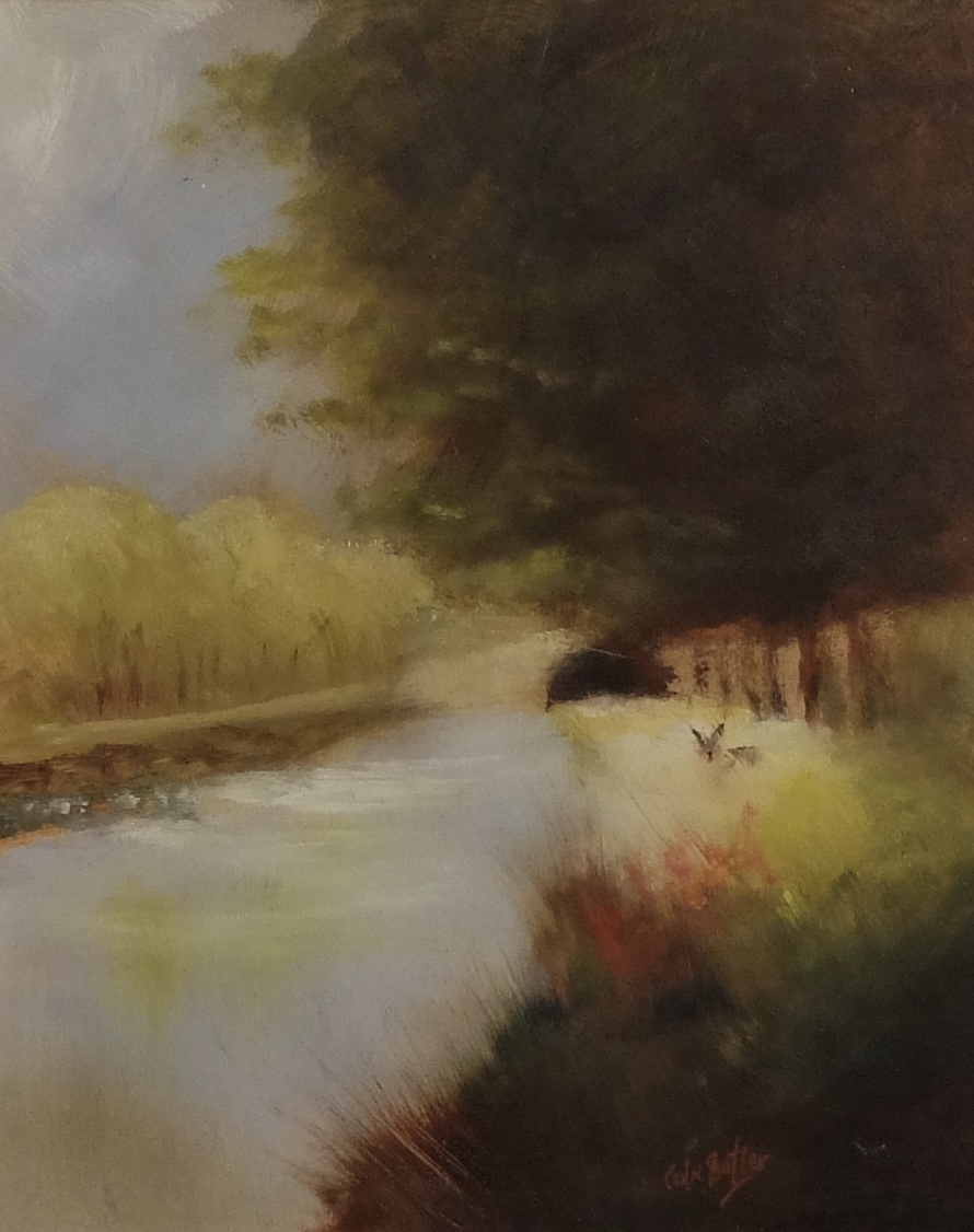 Colm Butler - Artist