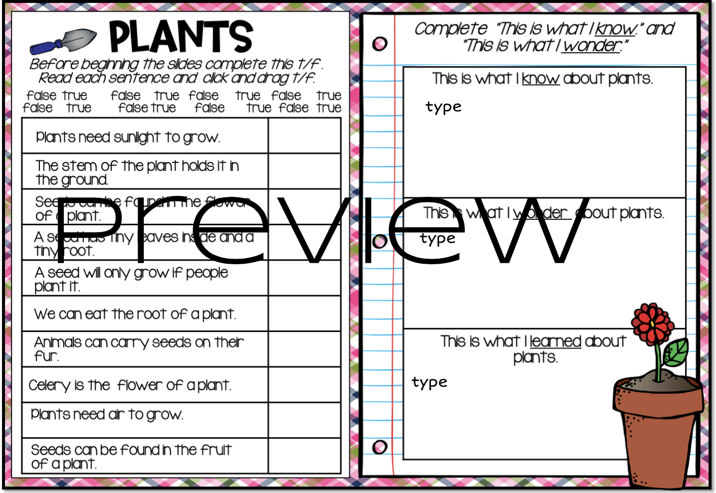 1st Grade Hip Hip Hooray!: Plants..."Growing" our knowledge of plants!