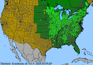 Restoring The Landscape With Native Plants: Native Plant of the Week ...