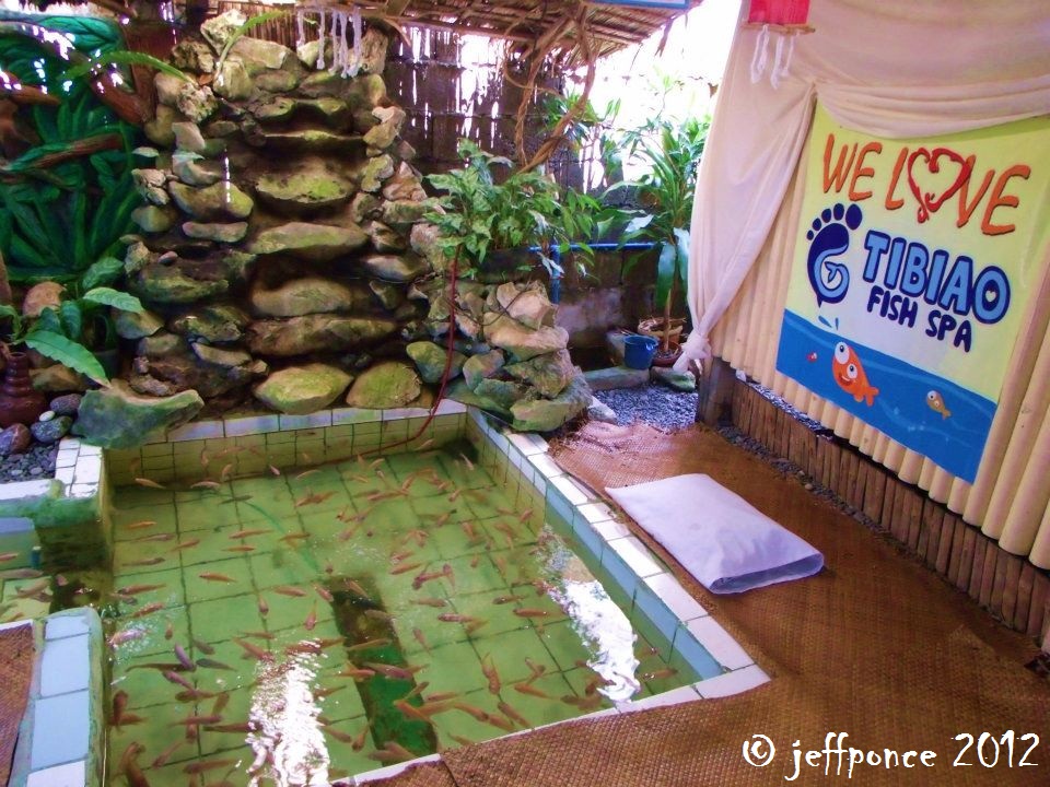 Bisayang Manlalakbay around the Philippines: How to Get to Tibiao Fish ...