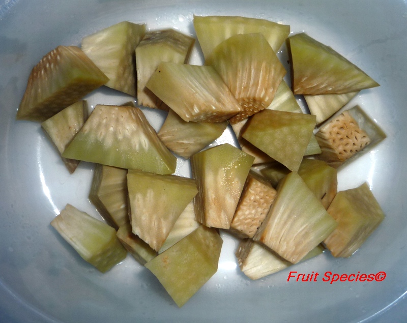 Fruit Species: BREADFRUIT
