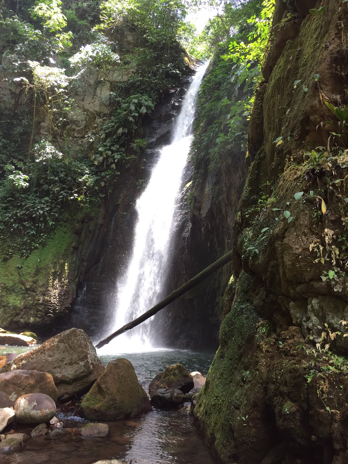 Recursos Turísticos de la Región San Martín : Catarata de Huaja