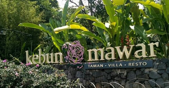 Panorama Kebun Mawar Situhapa Wisata Alam Yang Romantis