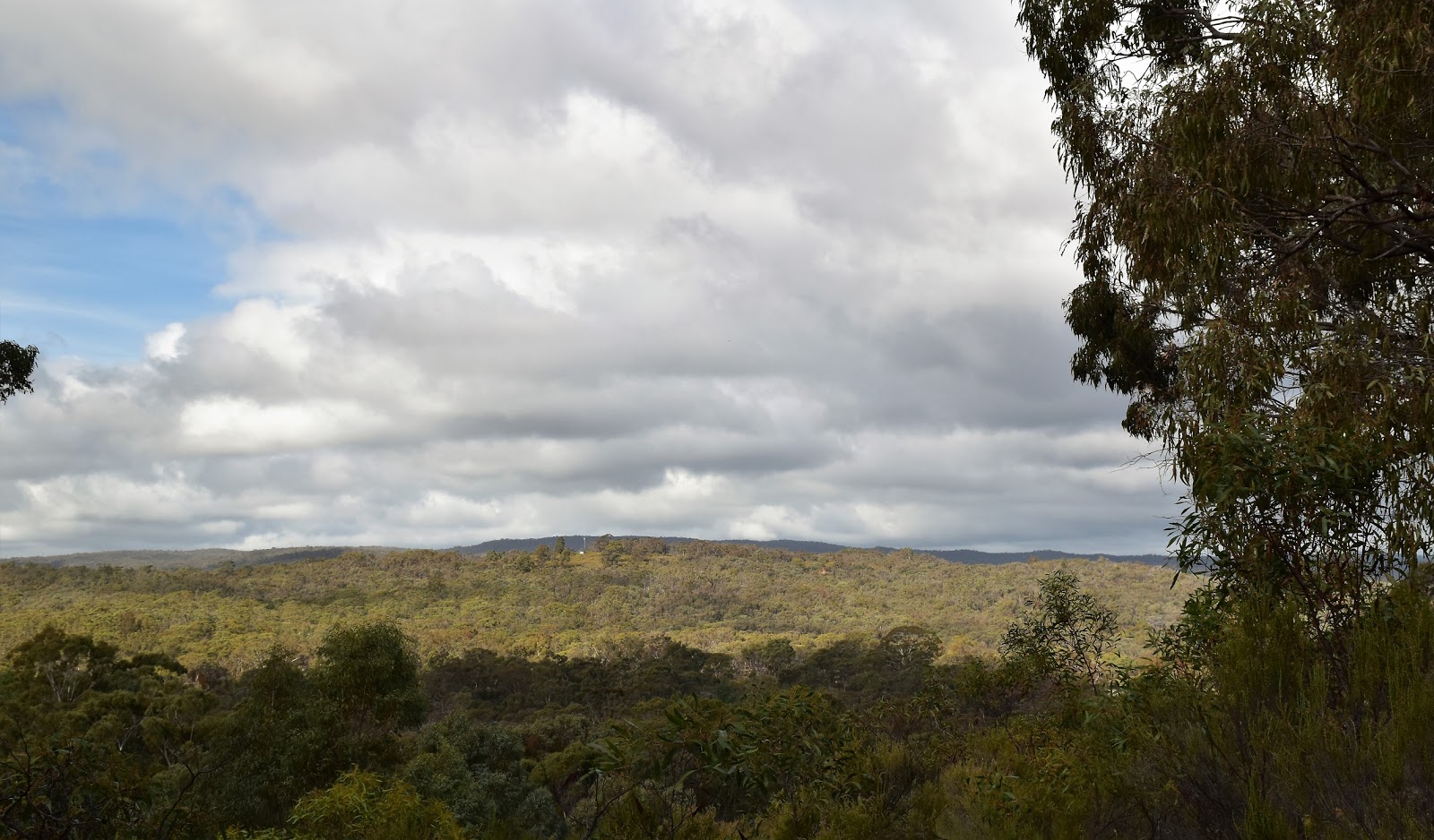 Goin' Feral One Day At A Time: Spring Gully & Break Neck Hill ...