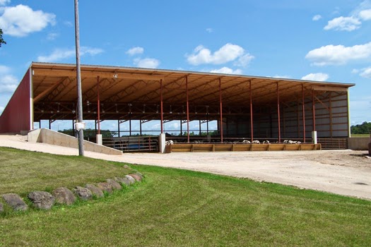 Lester Buildings blog: Where’s the Beef? In a Monoslope Beef Barn.