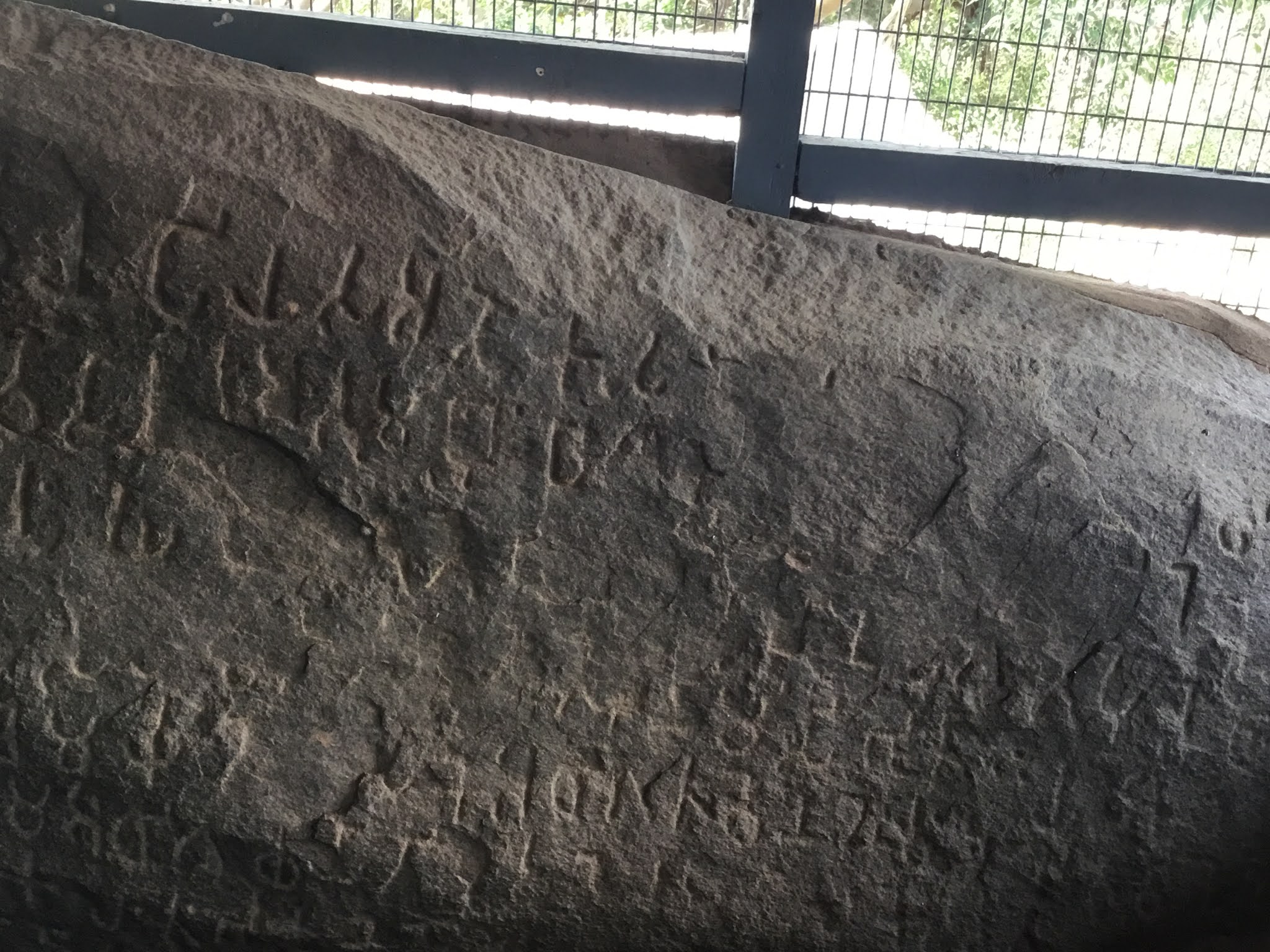 Shivaprasad Khened, Advisor, CSMVS, Mumbai. Former Director, Nehru ...