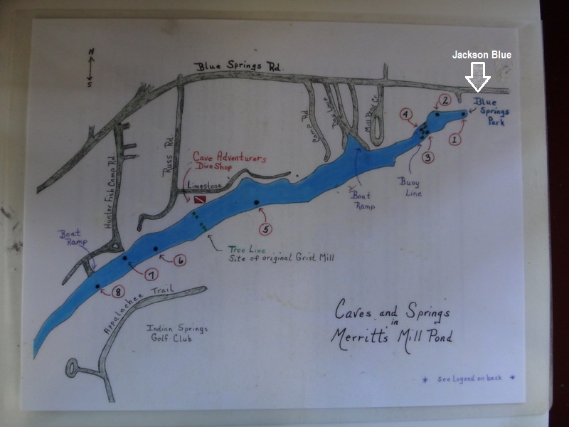 States of Immersion - A Florida Cave Diving Adventure: Our Introduction ...