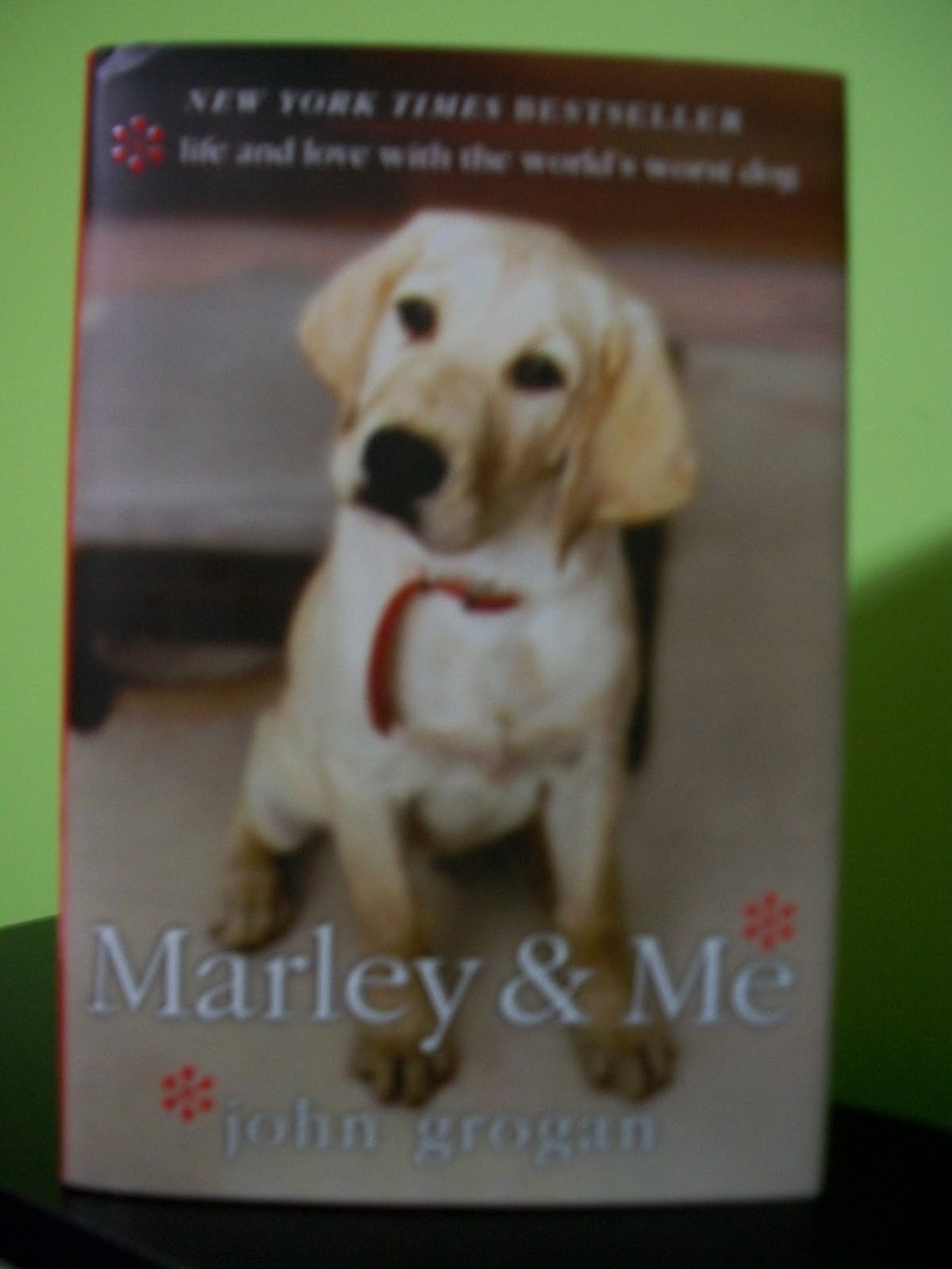 Wonderful Books: Marley and Me