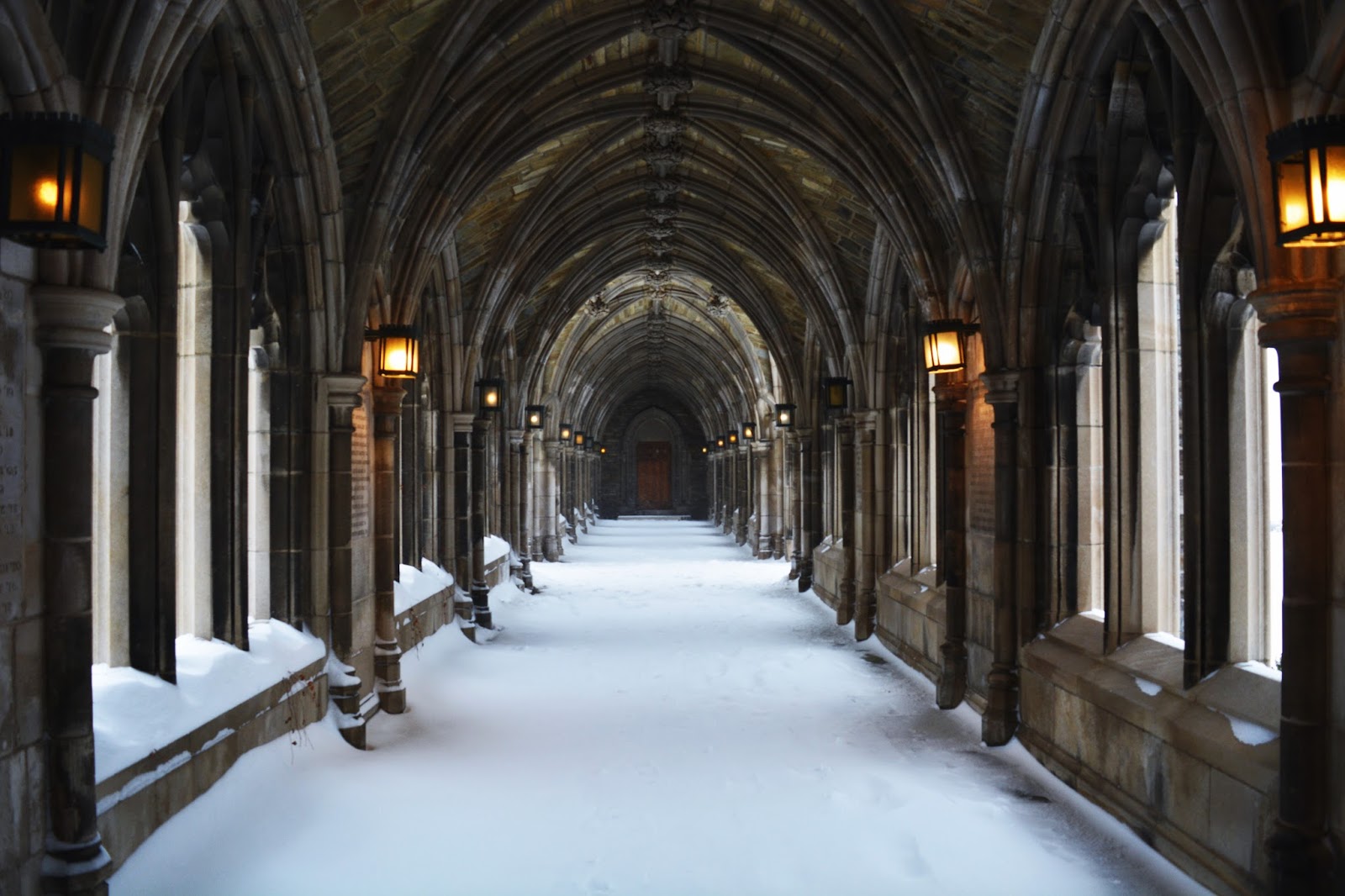 Cornell University Snow