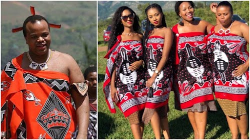 how does the king of swaziland chooses his wives - Naija News Olofofo