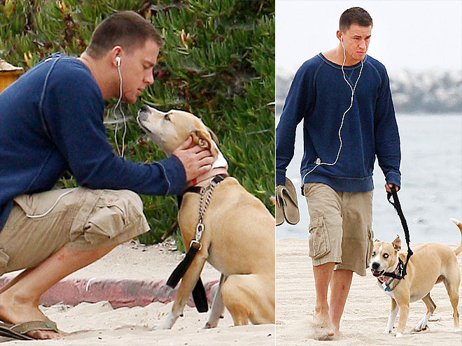 VJBrendan.com: Dudes With Dogs... Channing Tatum