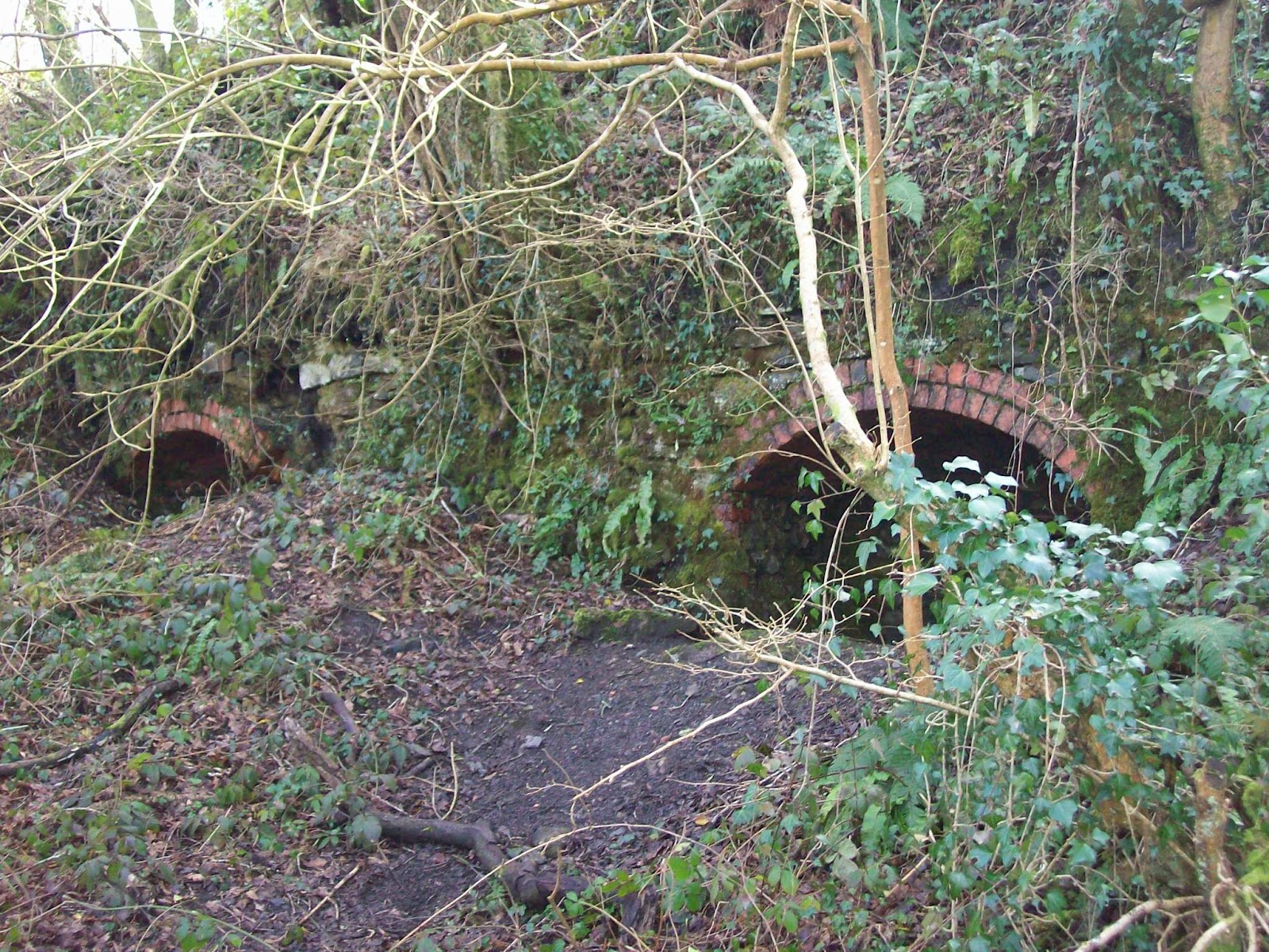 Random Daily Walks: Cwm Mawr to Pontiets Railway Walk