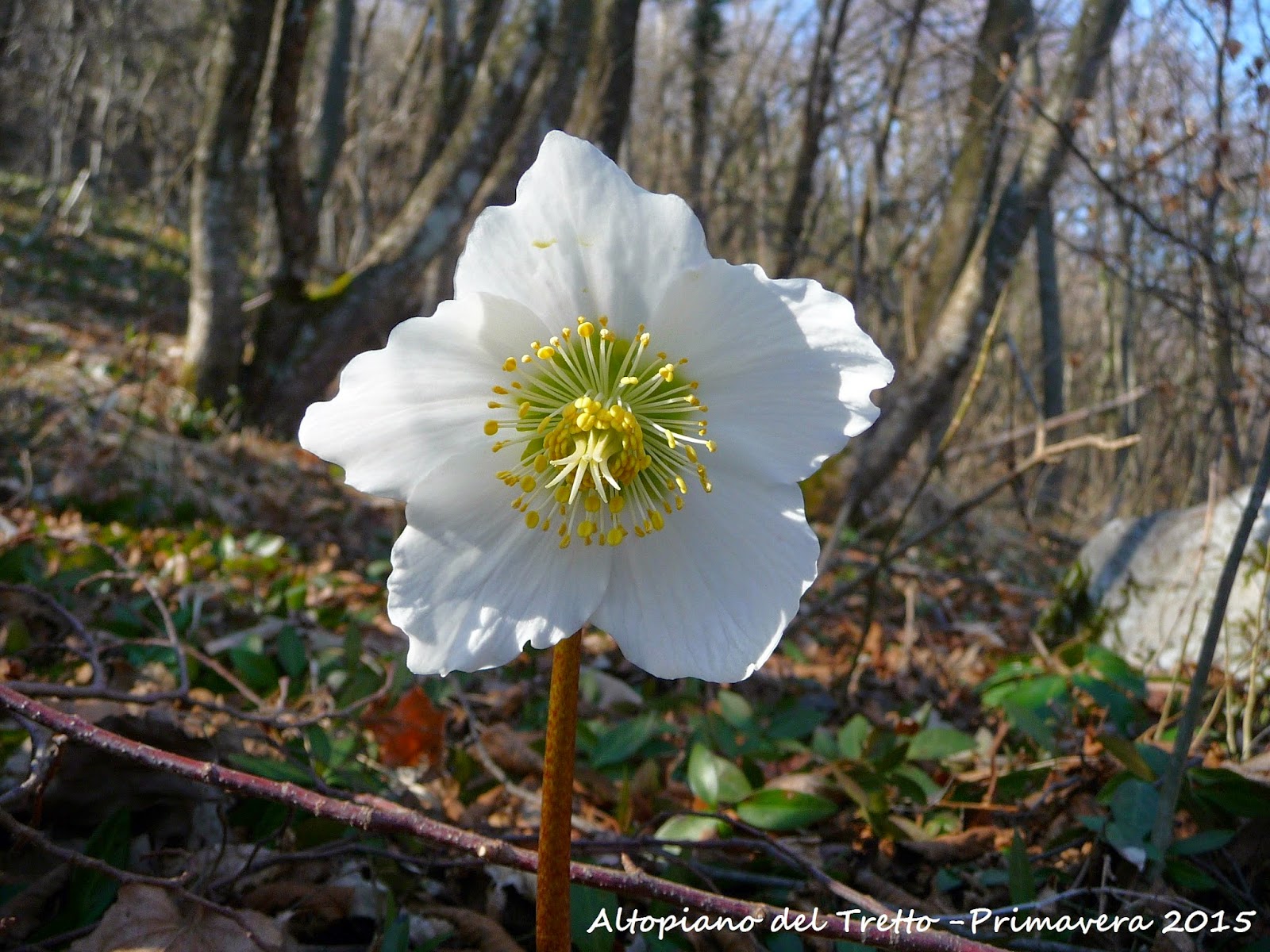 Casa Vacanza Santa Caterina : E' arrivata la Primavera!!