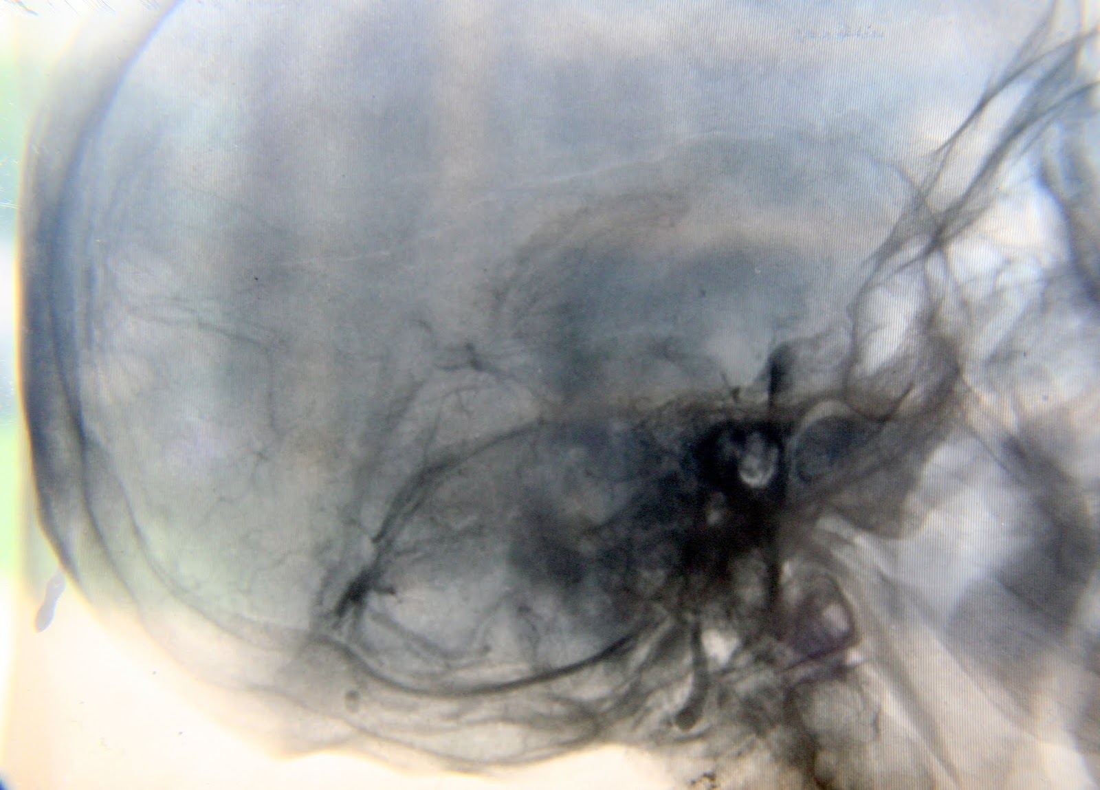 HISTÓRIAS DA MEDICINA: 2020