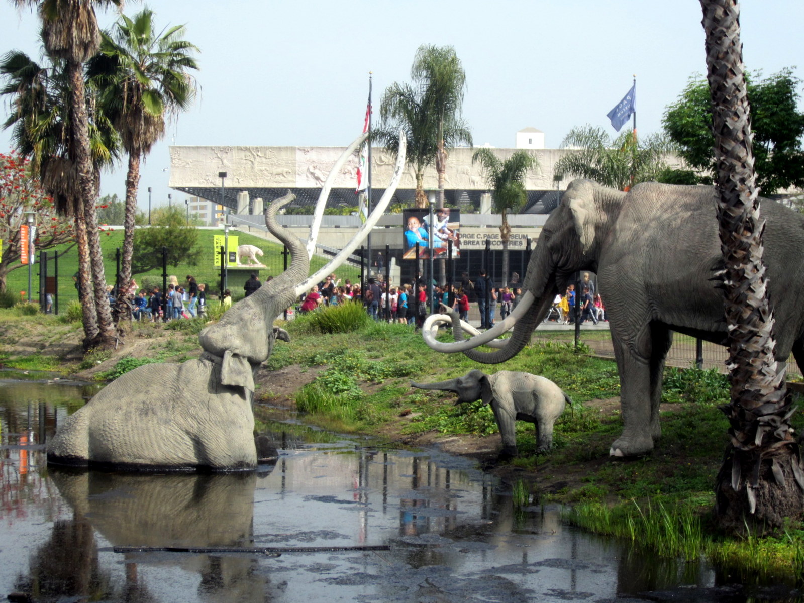 Hasty Pics: La Brea Tar Pits & Page Museum - Los Angeles, California