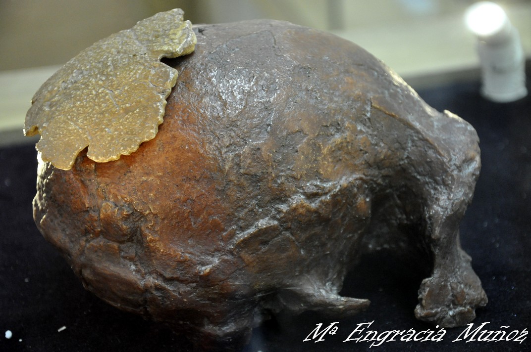 El "hombre" de Orce | Fotos - Arqueología en mi jardín