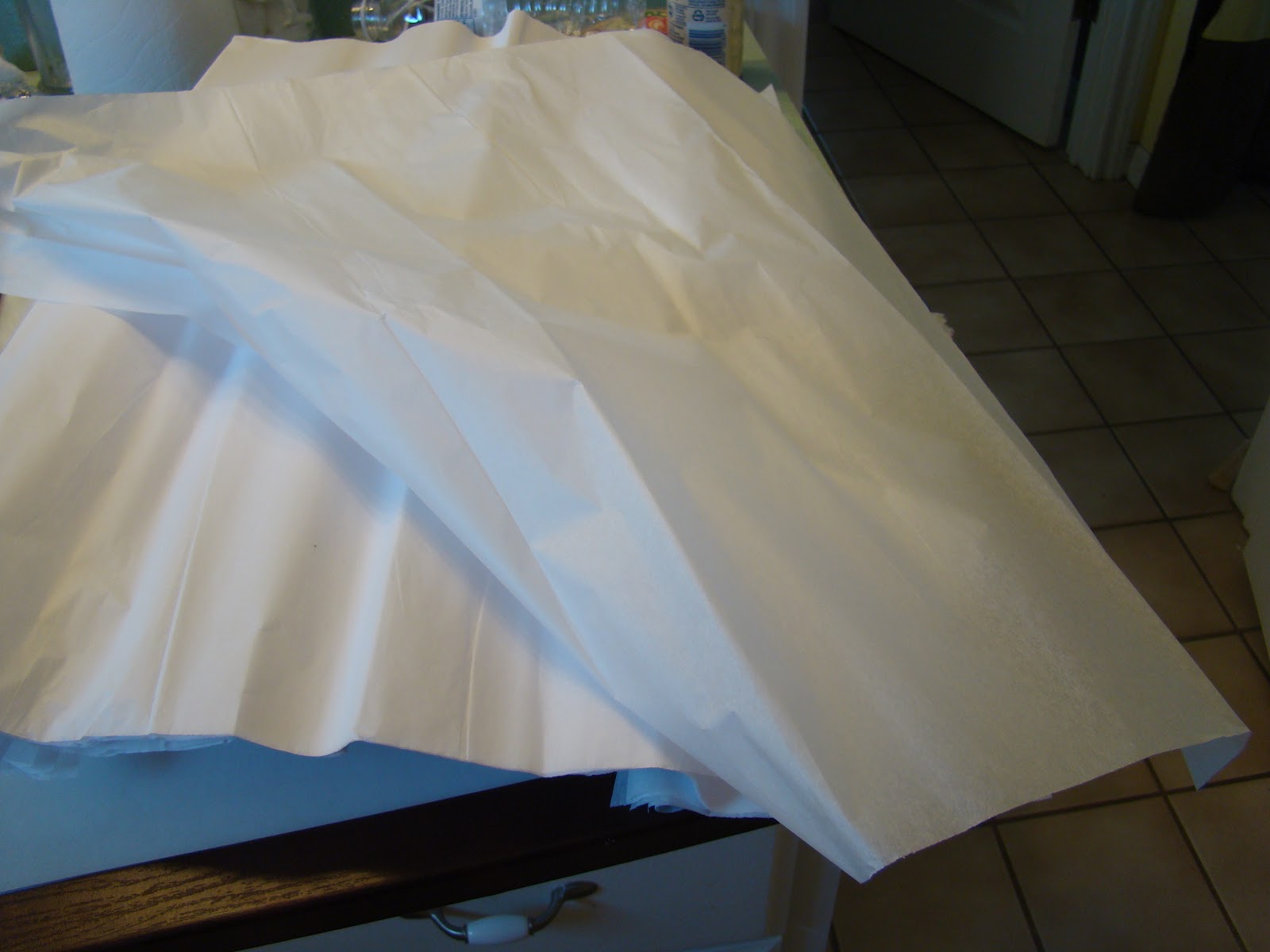 One Life to Love: Tissue Paper Walls.