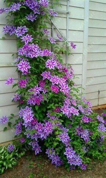 36 Inspiring DIY Flowers Garden Backyard That Make Your Home Fresh ...
