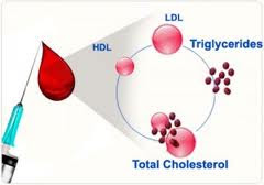 Trigliserida Tinggi ?? Obat Penurun Trigliserida