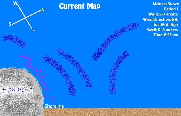 Makena's Amazing Science Blog: Beach Profiling