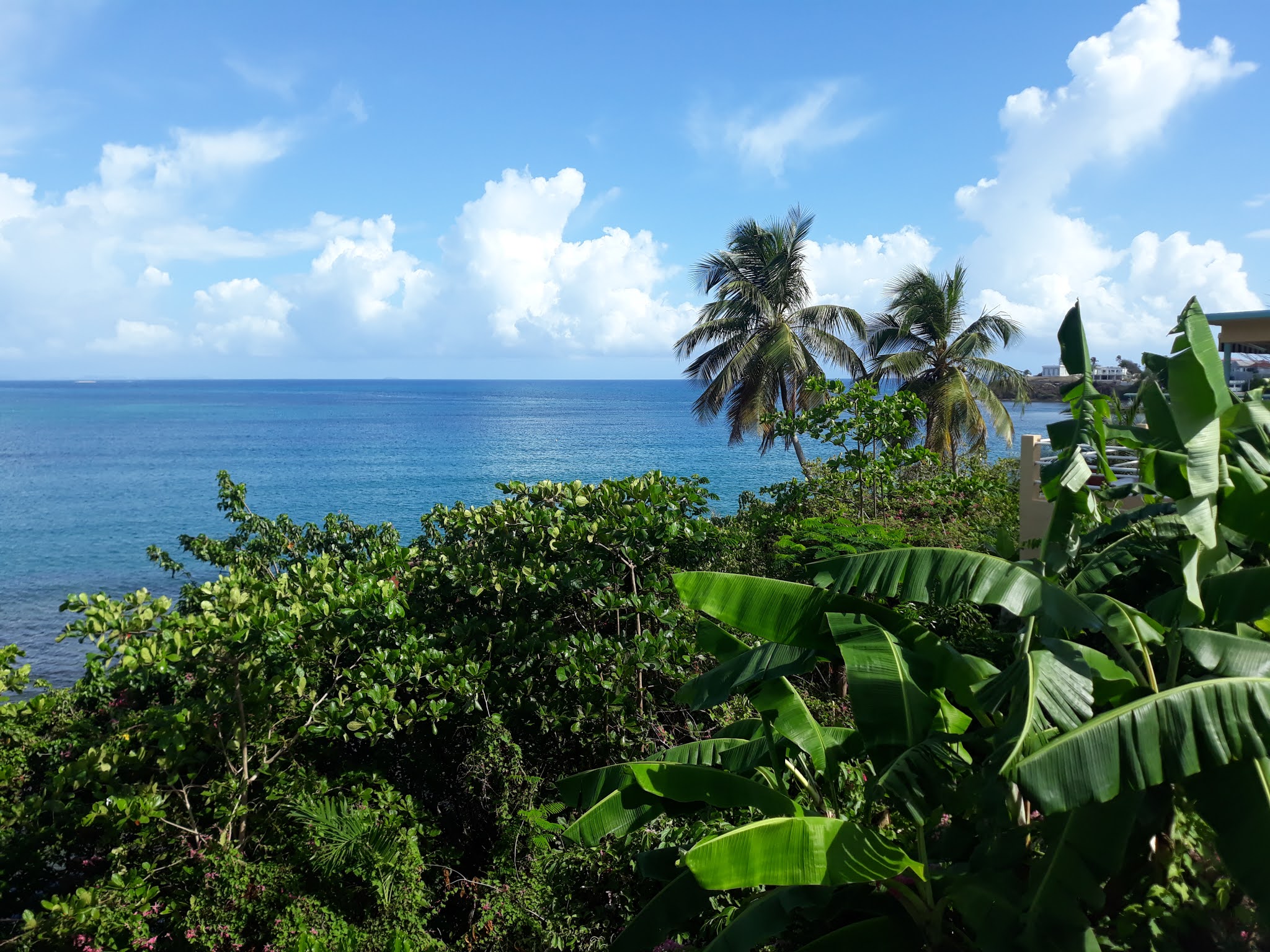 Observations of the Practical Kind: Isla de Vieques