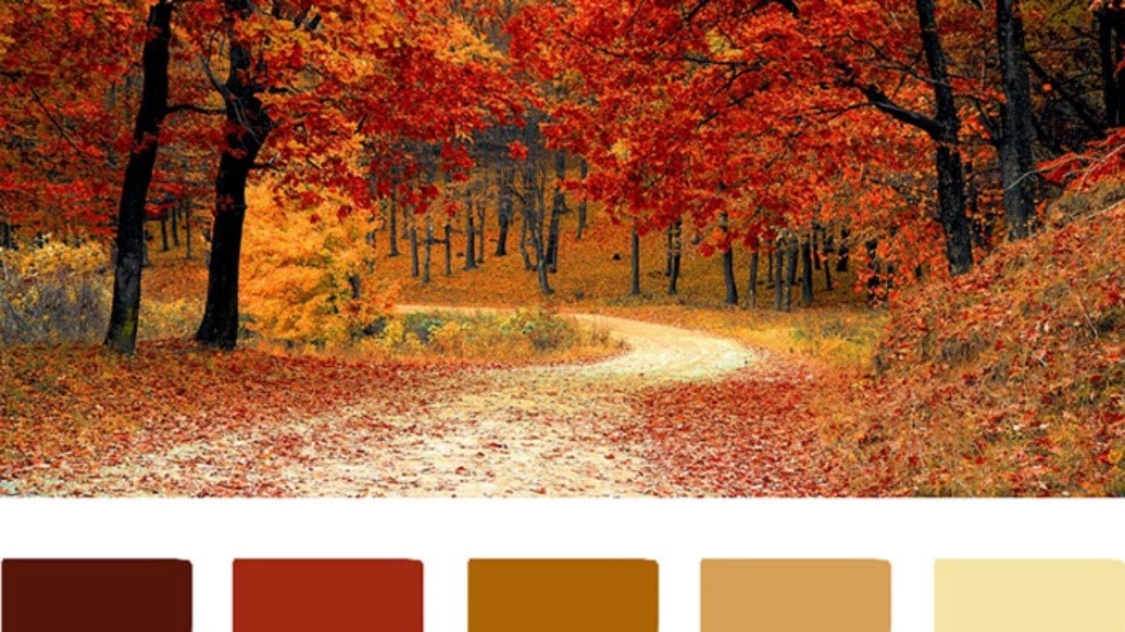 Profesor Lug de Explora: ACTIVIDAD 3: LOS COLORES DEL OTOÑO