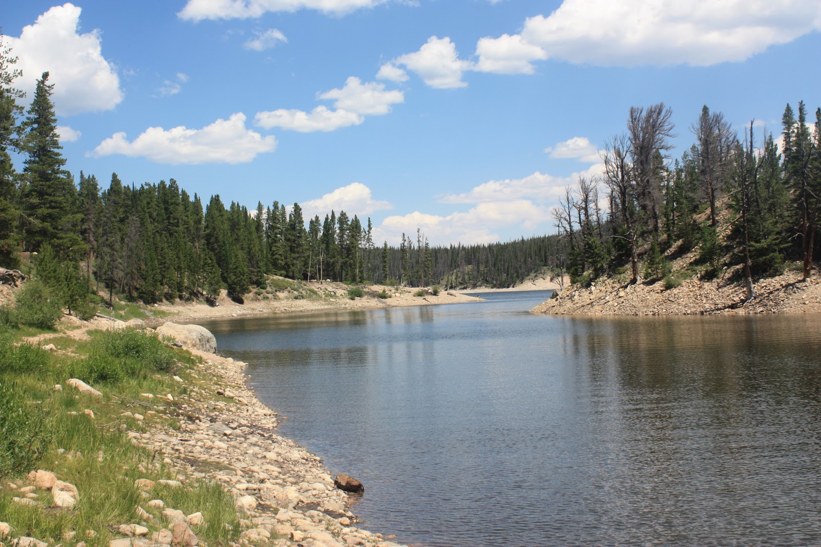 Aspirin and Boku-maru: Camping near Chambers Lake