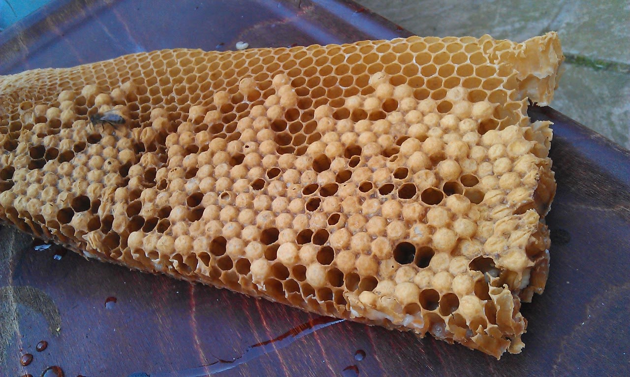 The Hivemind and Me: Demaree Method of Swarm Control