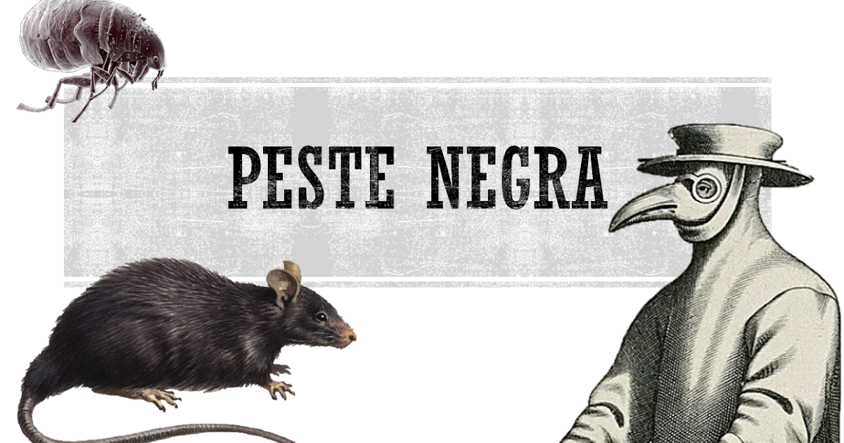 Peripécias na História : PESTE NEGRA - slides e vídeoaula