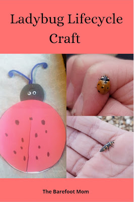 25+ Homeschool Resources for Spring | Teach Me. I'm Yours.