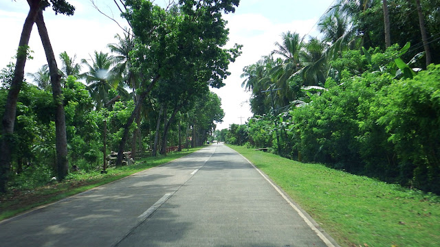 Macrohon Discoveries