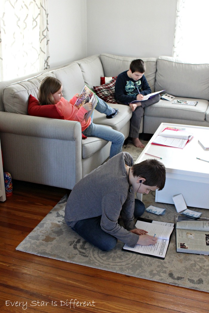 American History for Kids: The Montessori Way - Every Star Is Different