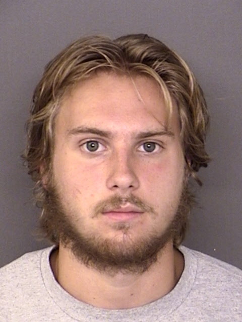 St. Mary's County Sheriff's Office - News: Vice/Narcotics Arrests