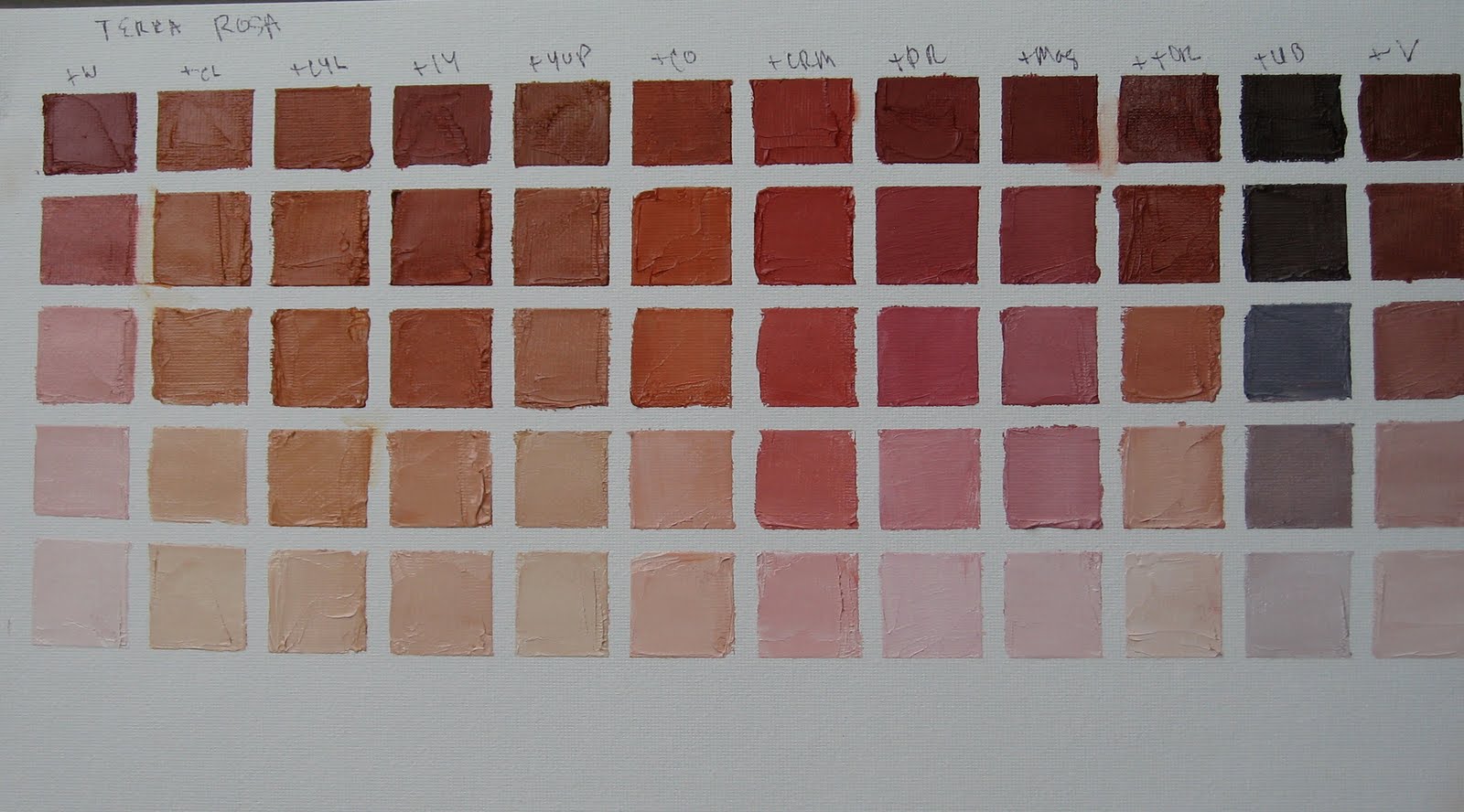 Pat Fiorello Art Elevates Life One Last Color Chart Terra Rosa