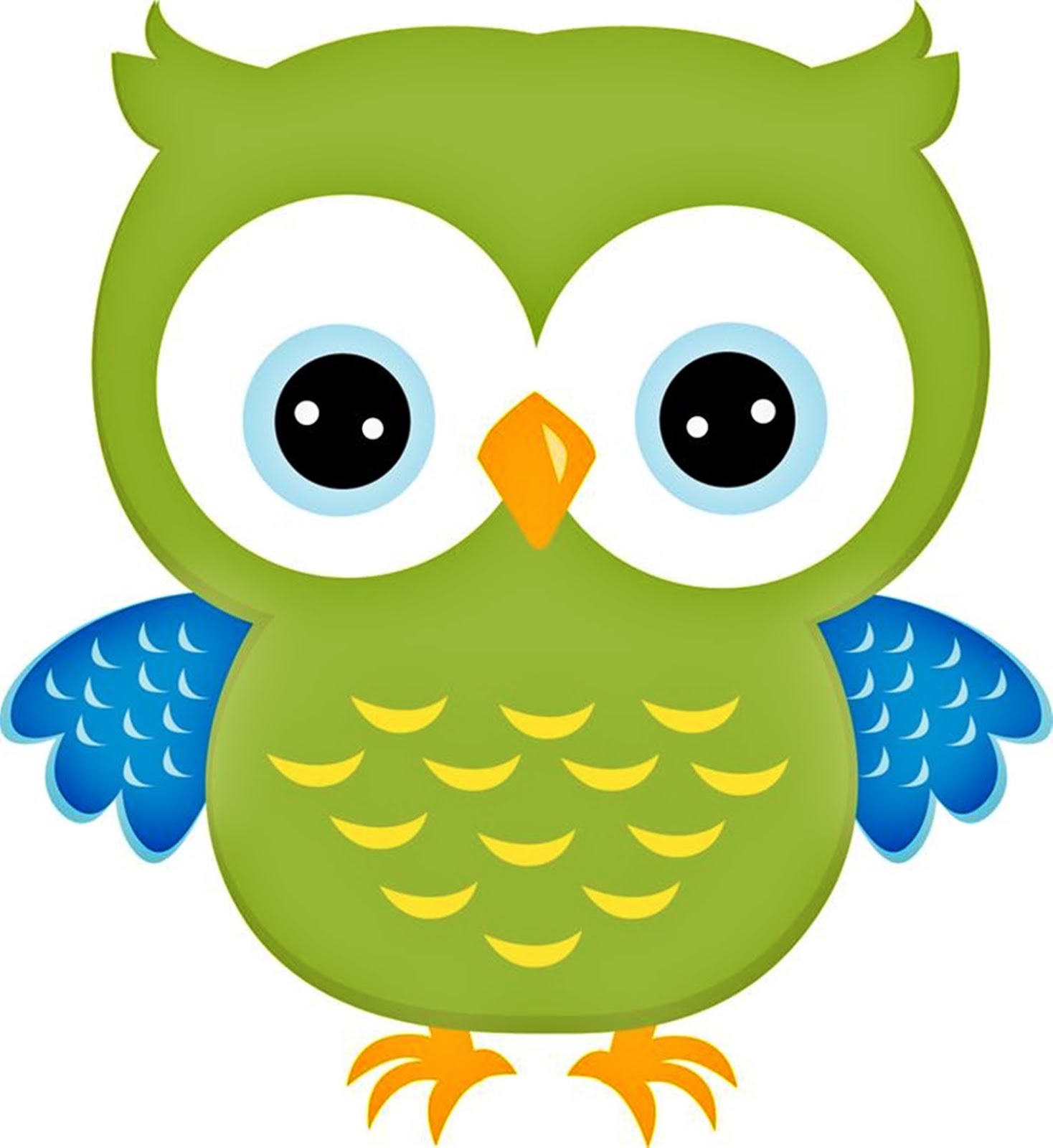 Búhos, Lechuzas o Tecolotes Verdes. | Oh My Bodas!