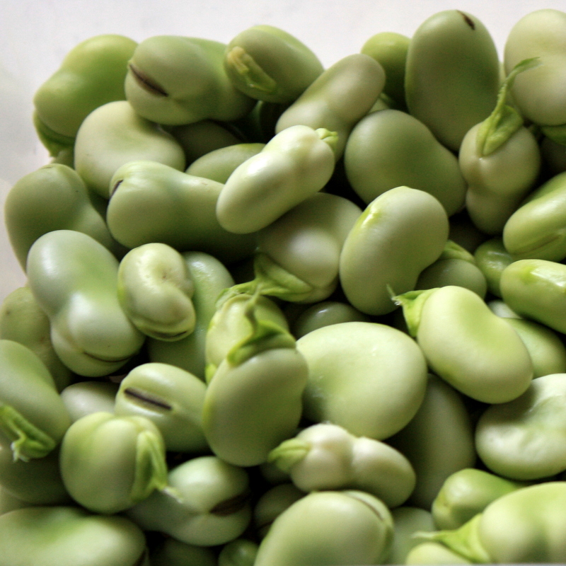 Tentativas y Variaciones: Habas Verdes y Frescas