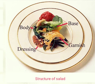 Components of salad | structure of salad